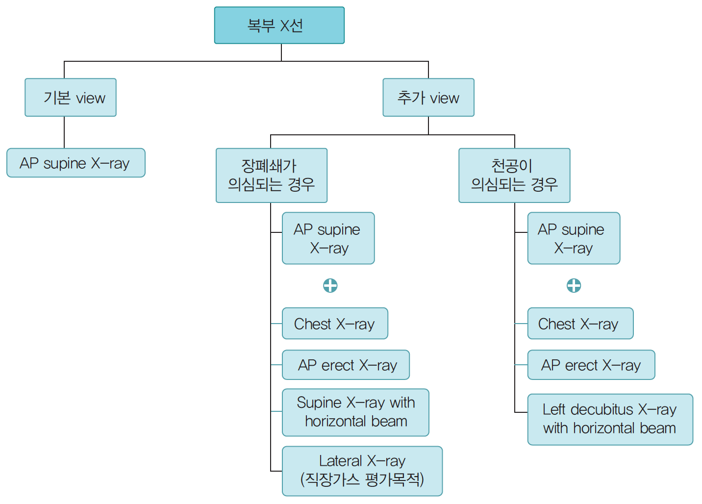 복부 X선 - Metamedic