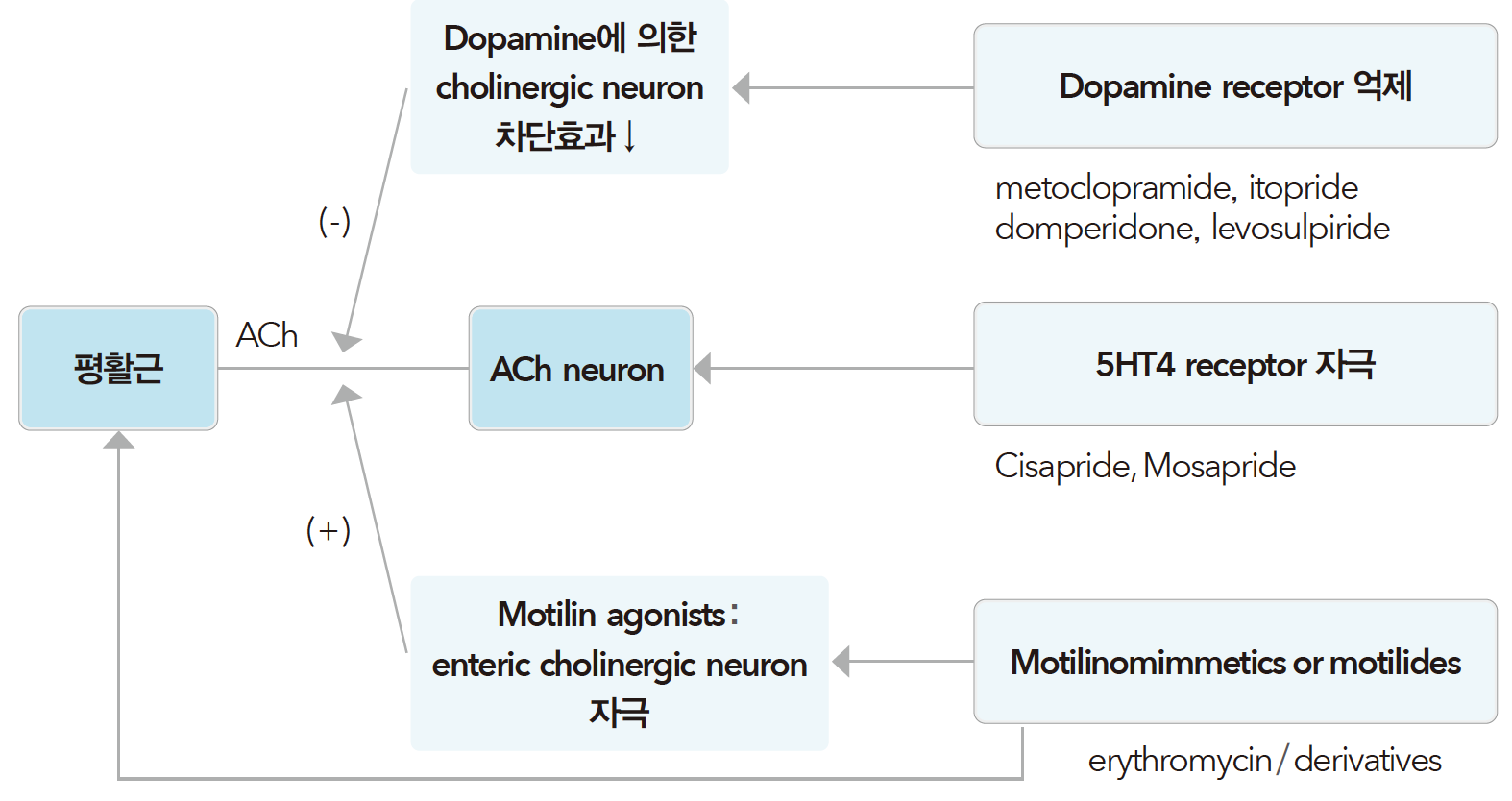 위장관촉진제(Prokinetics) - Metamedic