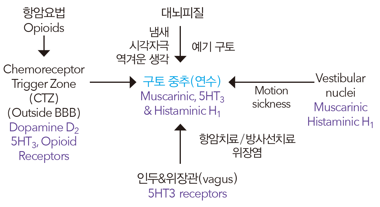 항구토제(Anti-emetics) - Metamedic