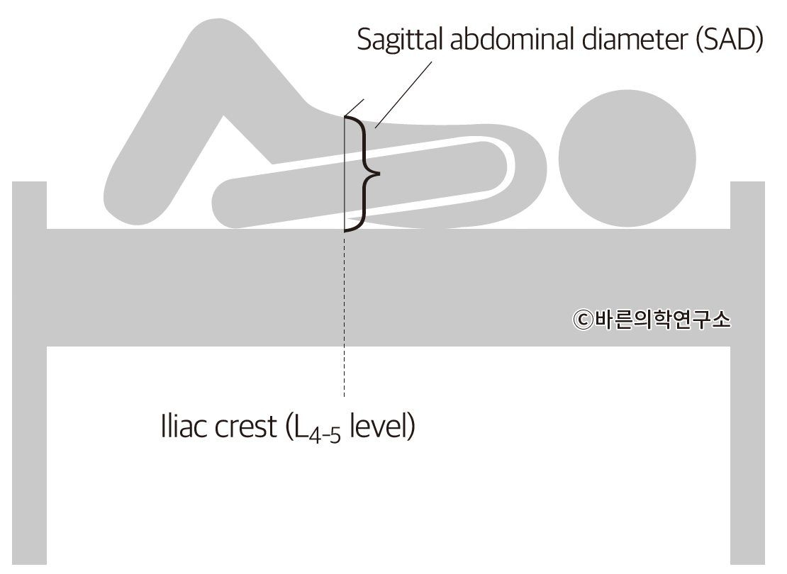 비만의 평가 및 치료 - Metamedic