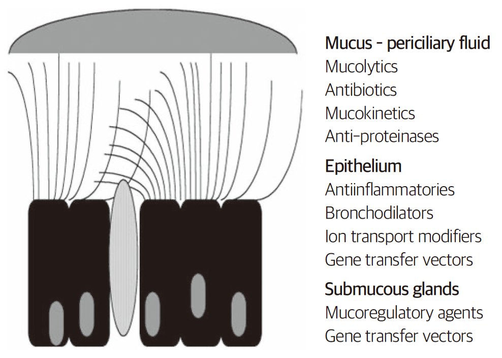 점액작용제(거담제)(Mucoactive agents) - Metamedic