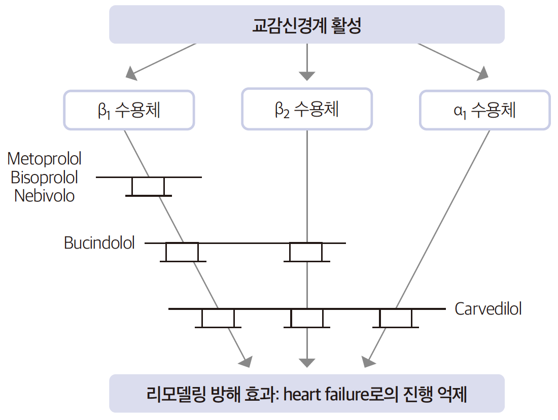 [실전처방] 베타차단제(Beta blocker) - Metamedic