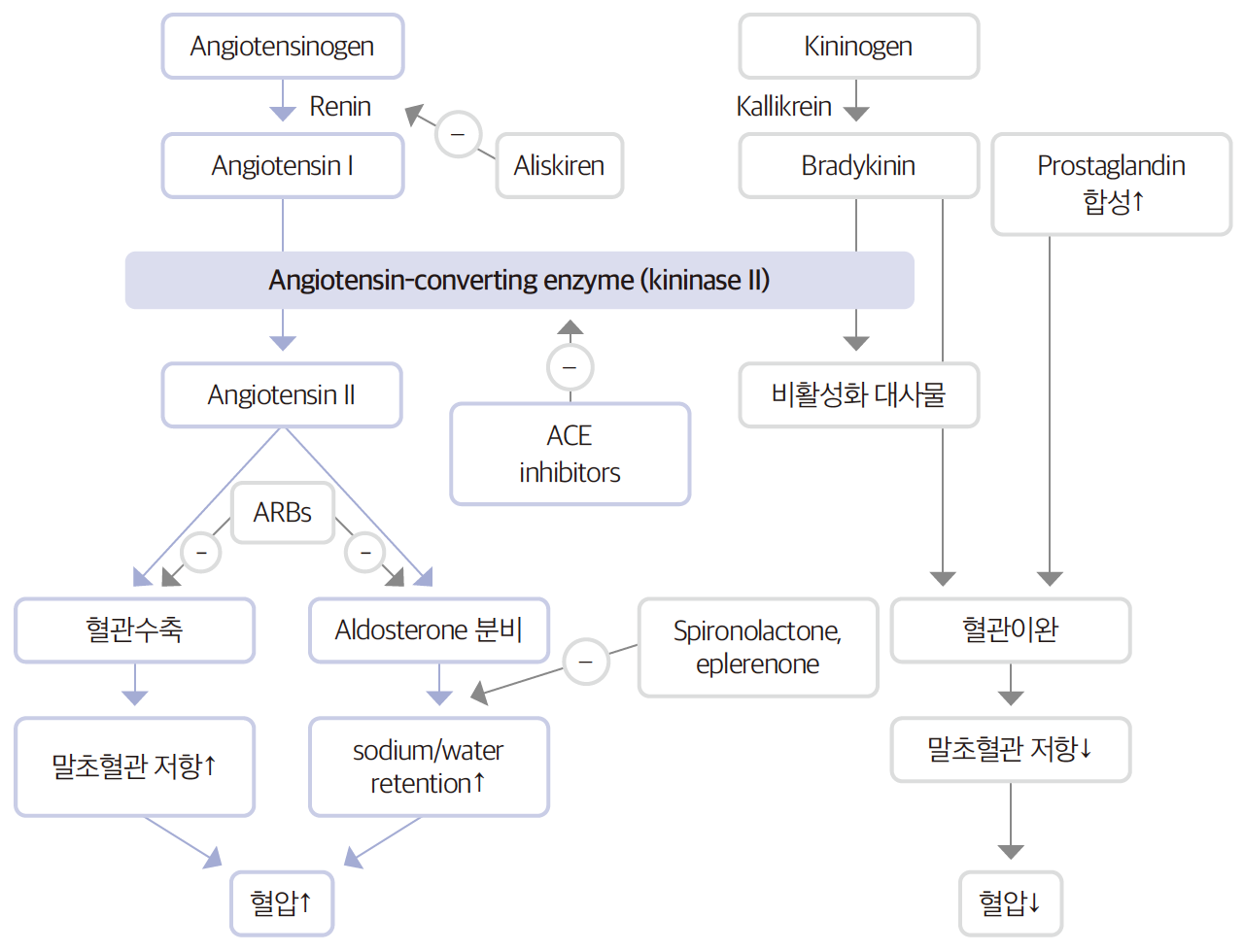 ACEI & ARB - Metamedic