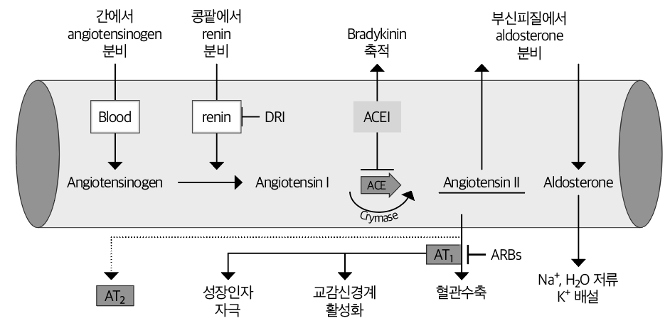 ACEI & ARB - Metamedic