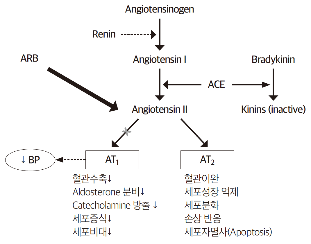 ACEI & ARB - Metamedic