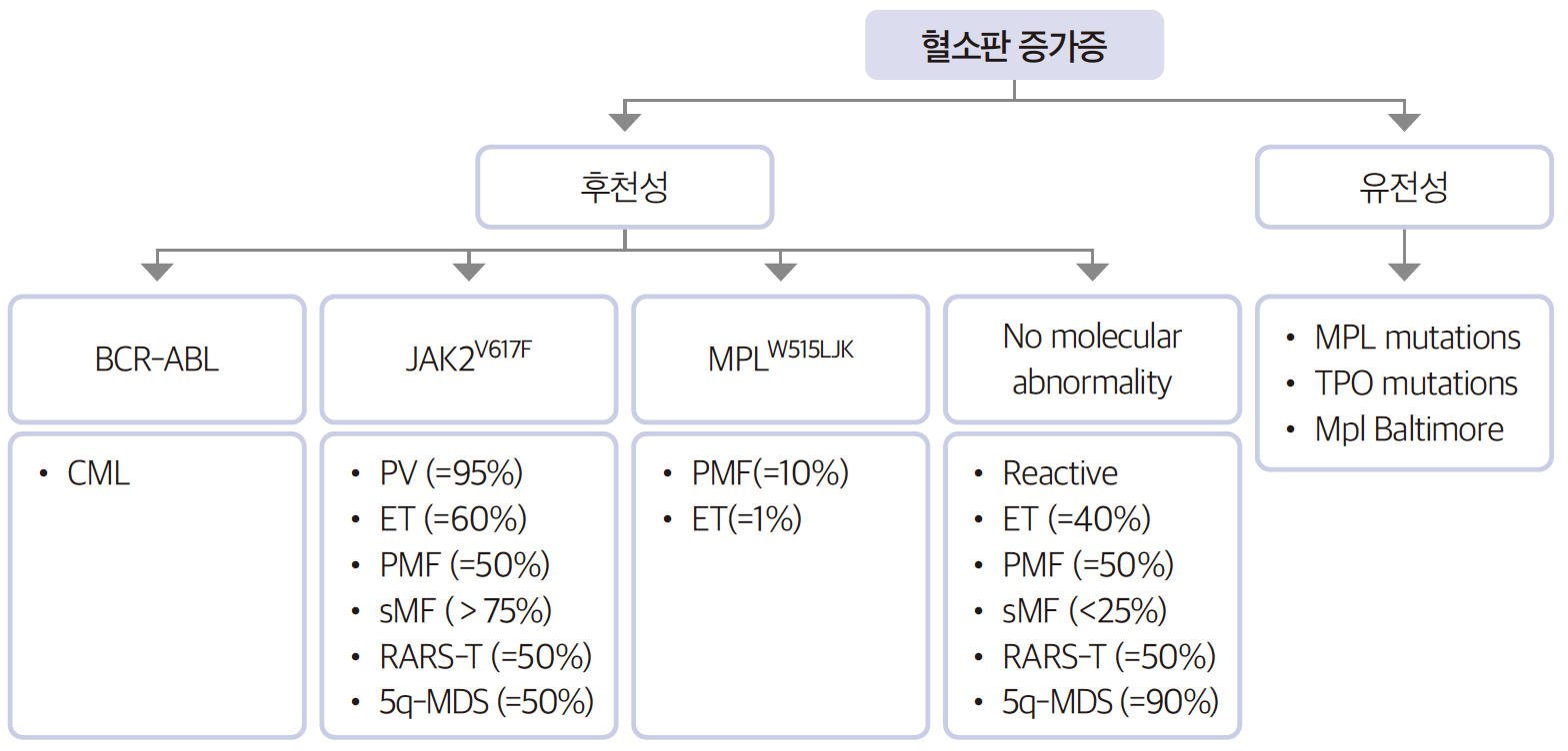 혈소판 증가증(Thrombocytosis) - Metamedic
