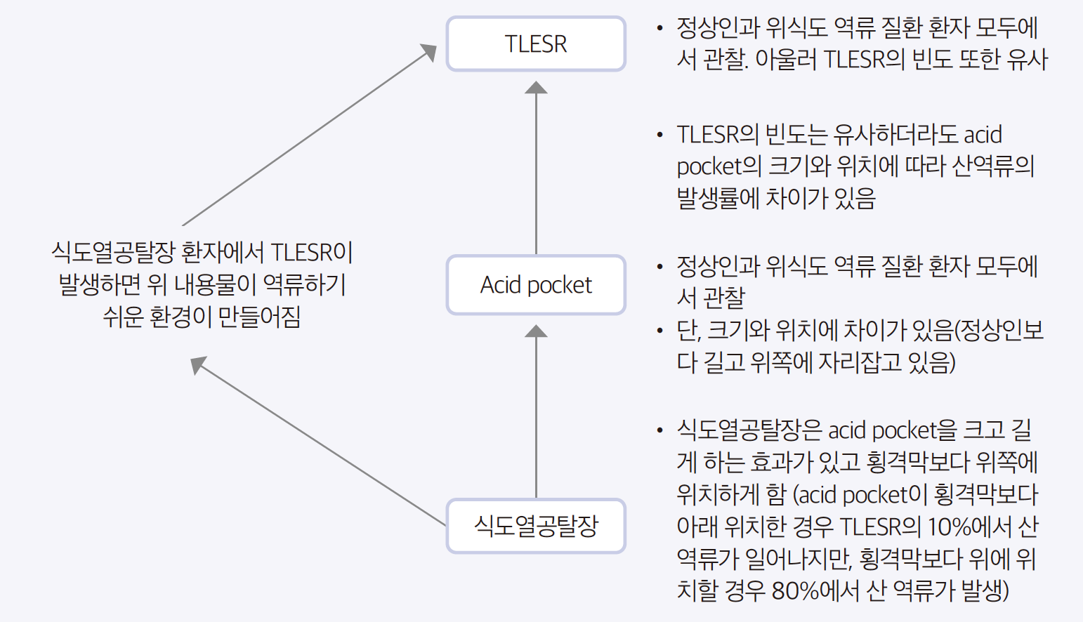 위식도 역류 질환(Gastroesophageal reflux disease) - Metamedic