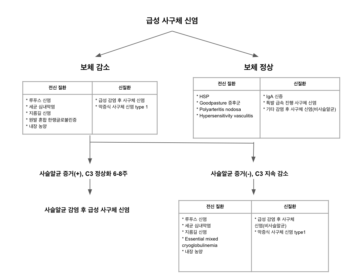[신·요로질환] 신염증후군(Nephritic syndrome): APSGN - Metamedic