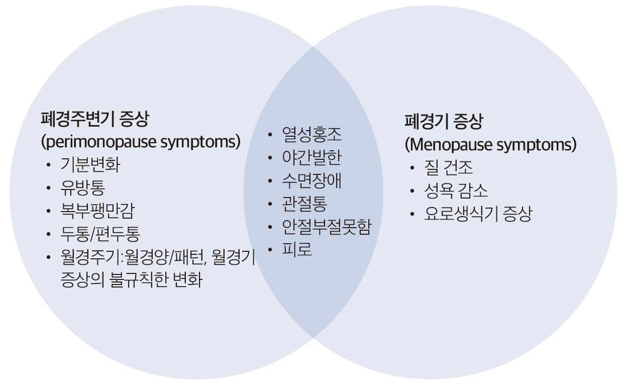여성의 폐경기 증후군(Postmenopausal syndrome) - Metamedic