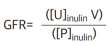 신장기능검사(Renal function tests): BUN, Creatinine, GFR 등 - Metamedic