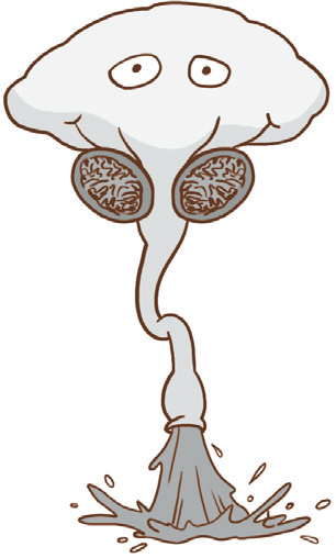 하부요로증상(Lower urinary tract symptoms) - Metamedic
