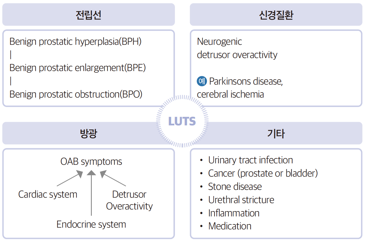 하부요로증상(Lower urinary tract symptoms) - Metamedic