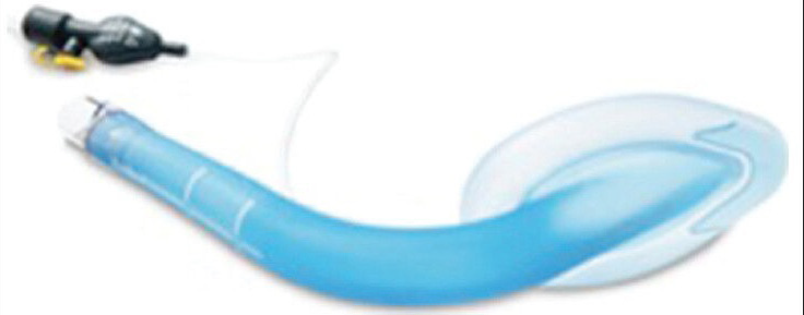 기도유지기: 성문외 기도기(extraglottic airway): Non-Laryngeal Mask Airway ...