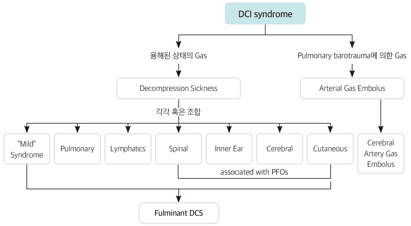 감압병 - Metamedic