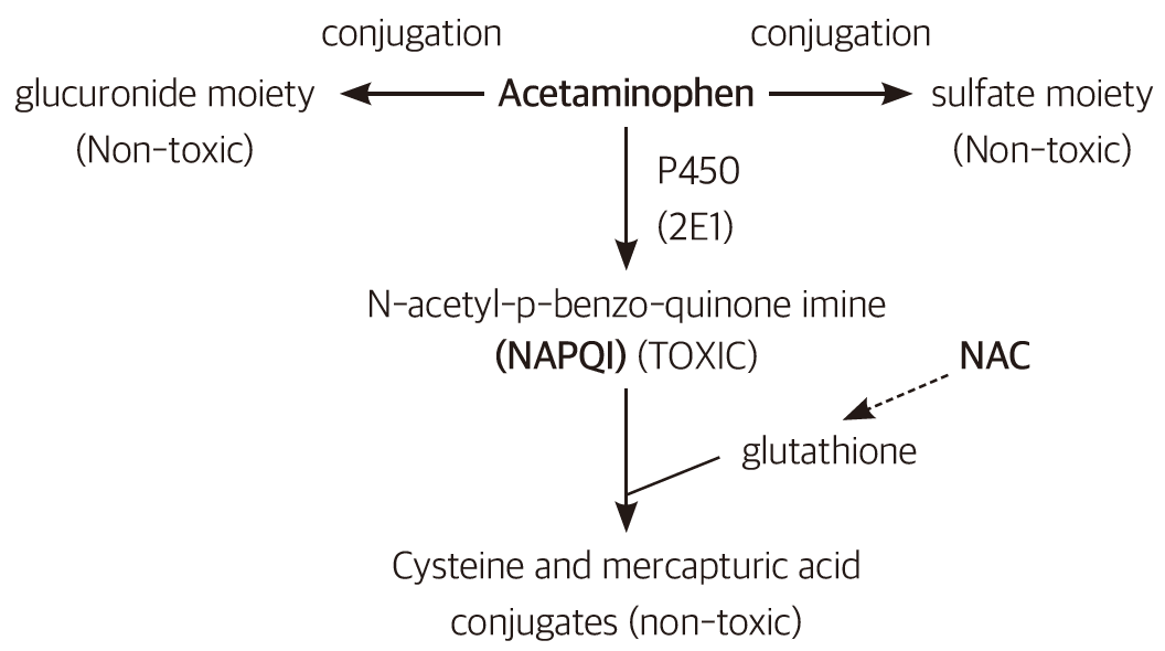Acetaminophen - Metamedic
