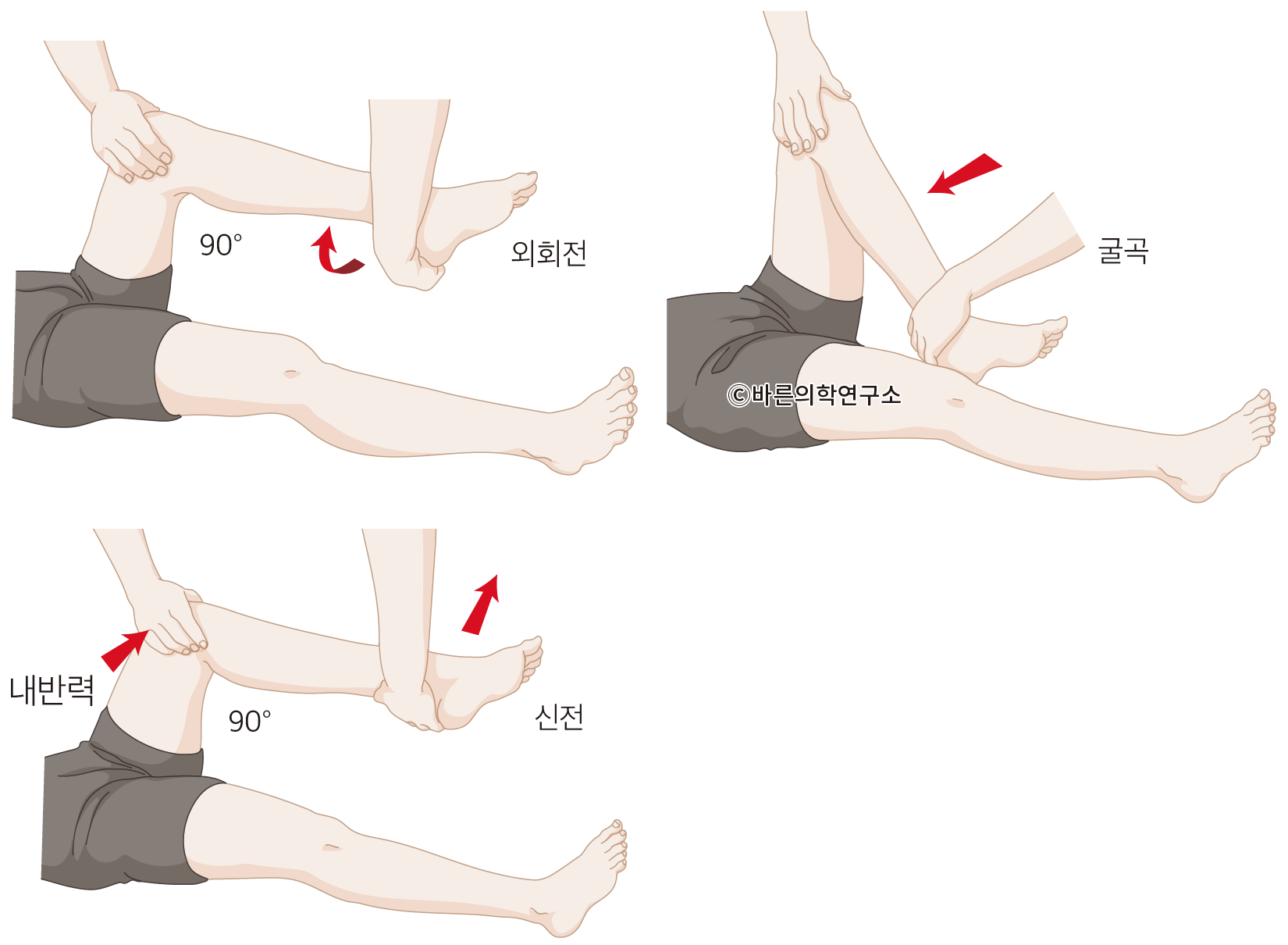 반달 연골 손상(Meniscus Injury) - Metamedic