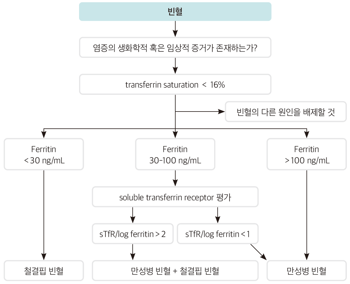 만성병 빈혈(Anemia of chronic disease) - Metamedic