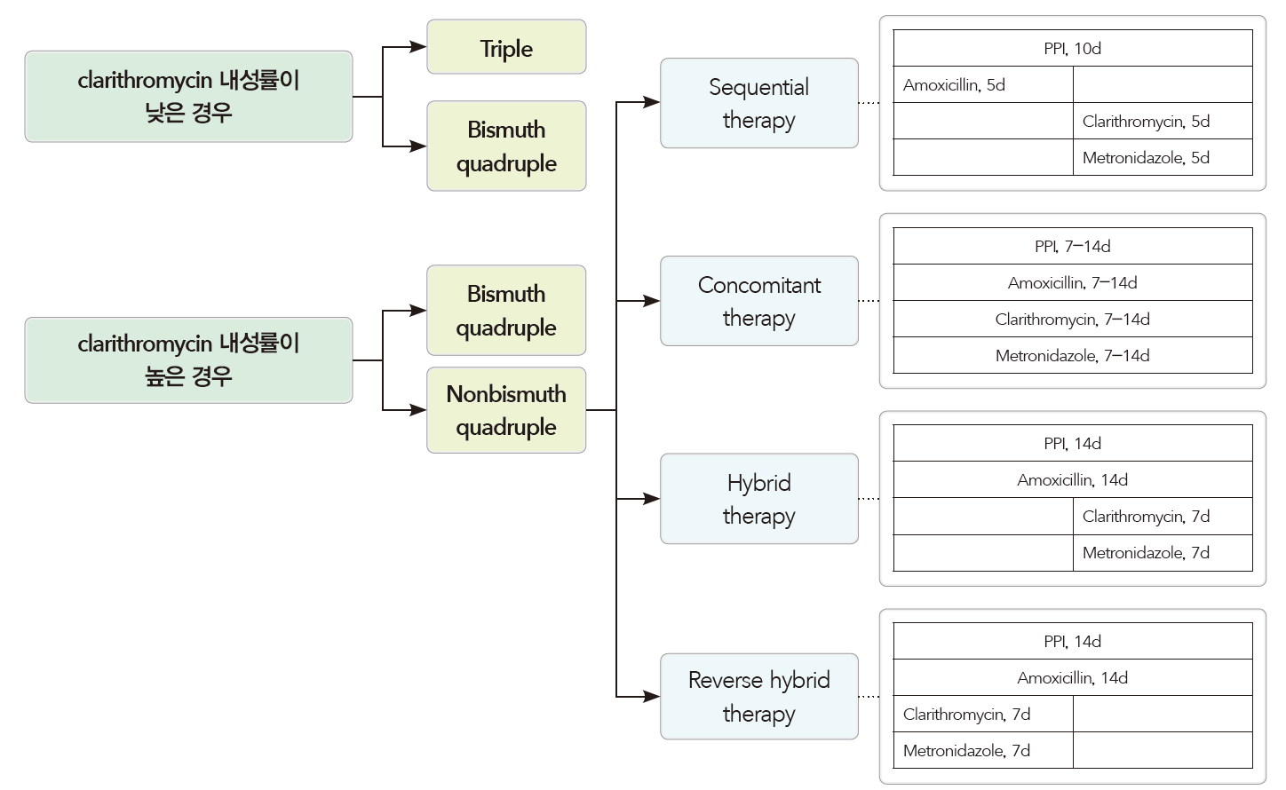 헬리코박터 감염(Helicobacter pylori infection) - Metamedic