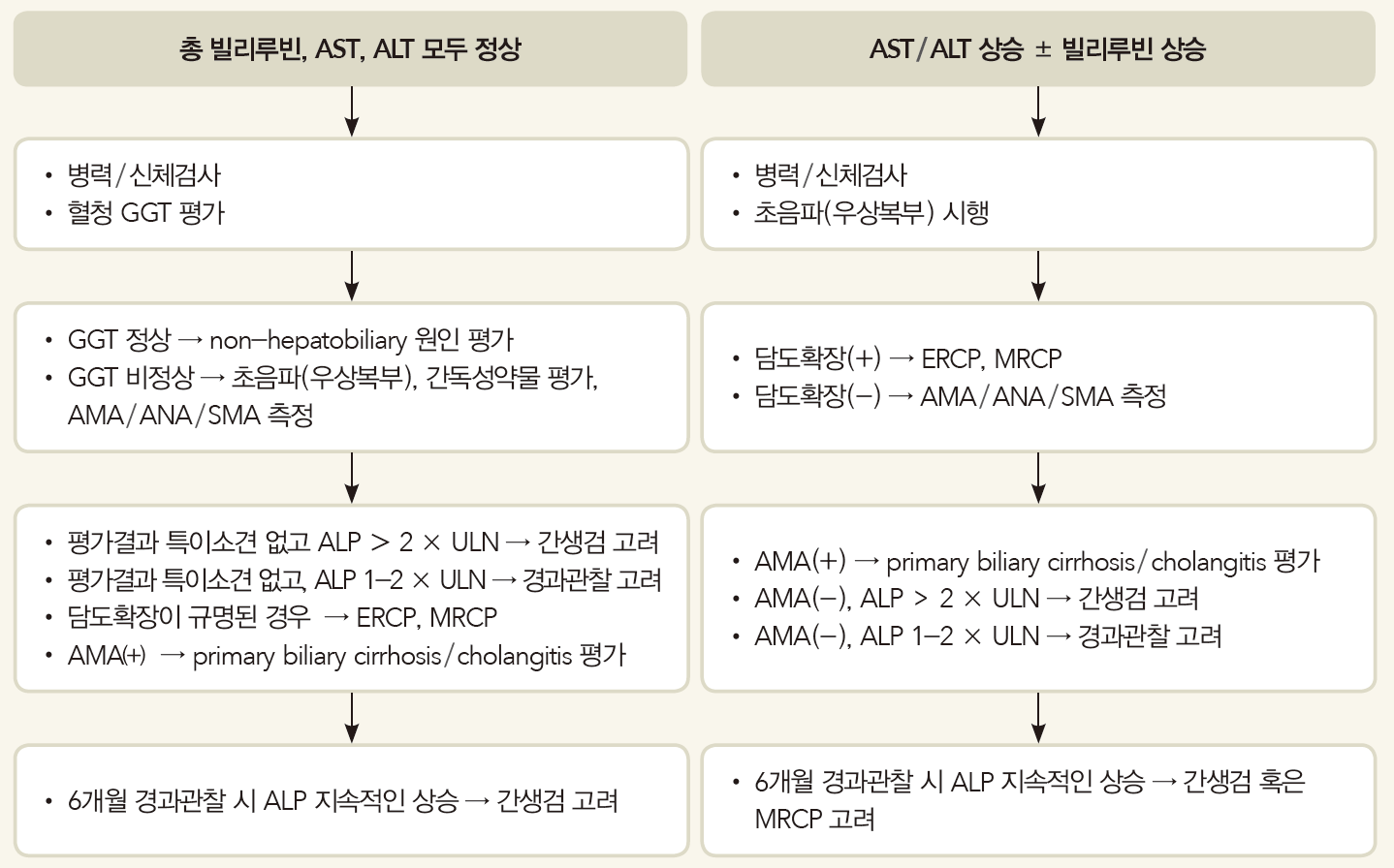 간기능검사의 해석(Liver function test) - Metamedic