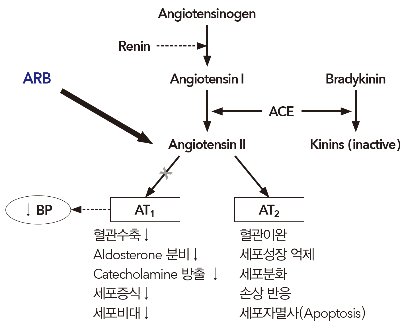 ACEI&ARB: ACEi vs. ARB - Metamedic