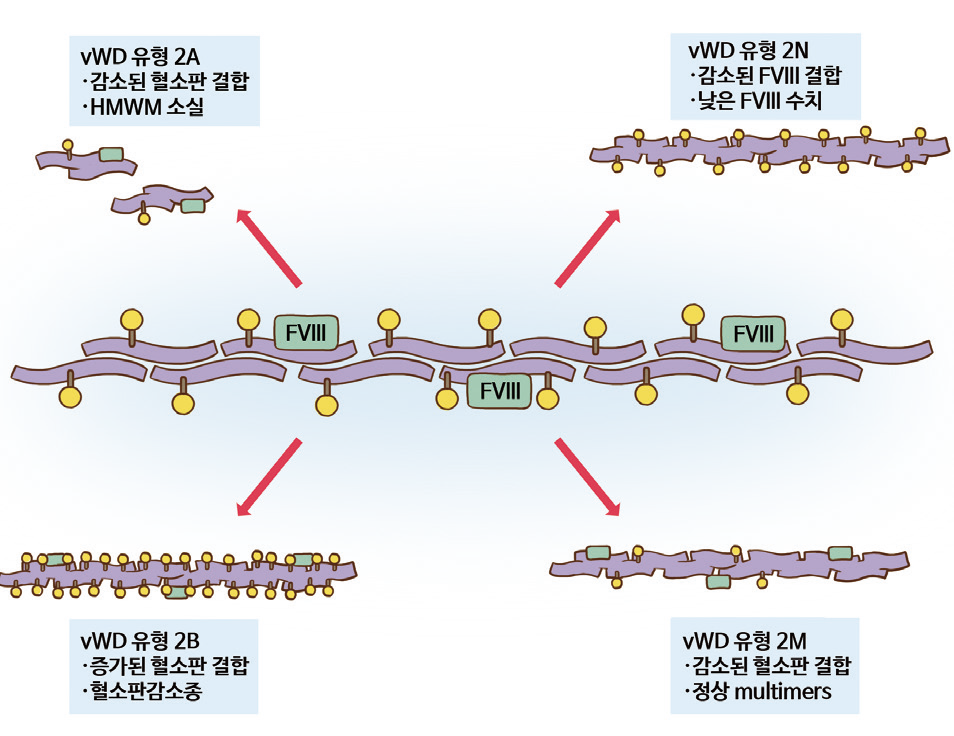 출혈경향(Bleeding tendency) - Metamedic