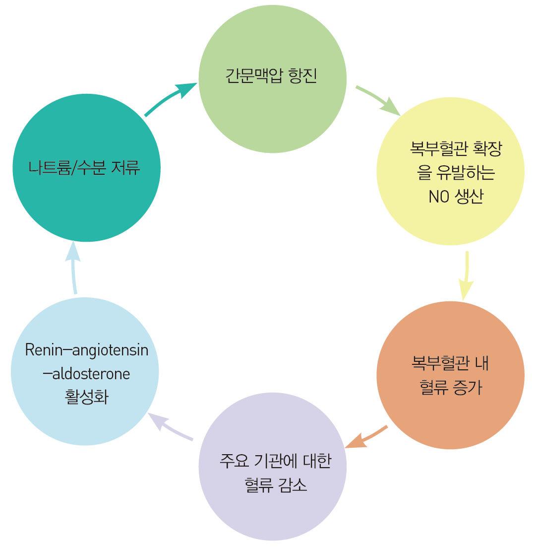 복부팽만/복수(Abdominal distension/Ascites) - Metamedic