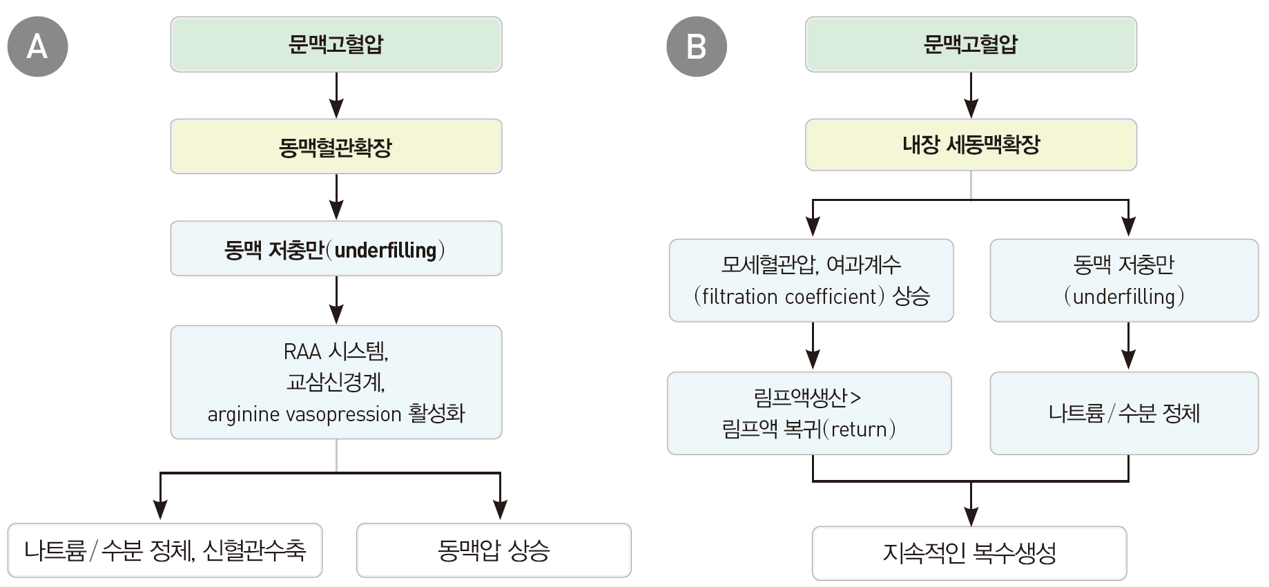 복부팽만/복수(Abdominal distension/Ascites) - Metamedic