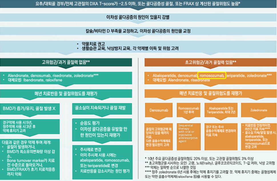 골다공증(Osteoporosis): 골형성촉진제 - Romosozumab - Metamedic