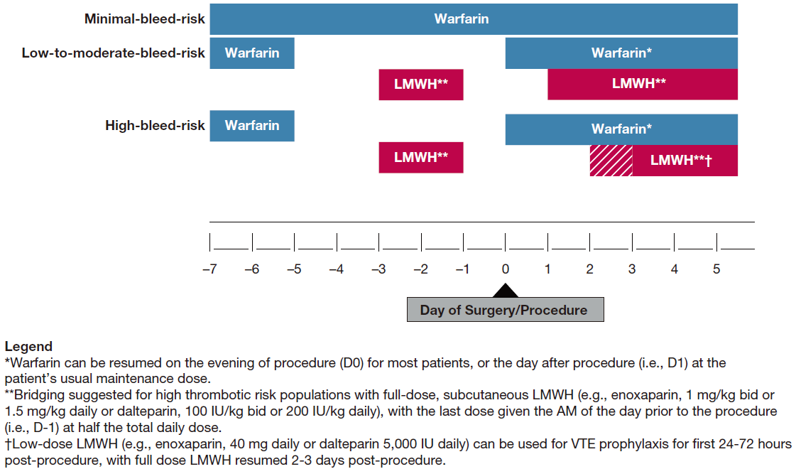 수술/시술 시 항혈전제 관리 - Metamedic