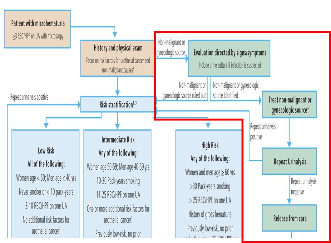 혈뇨(Hematuria): 2020년 AUA/SUFU 가이드라인 - Metamedic