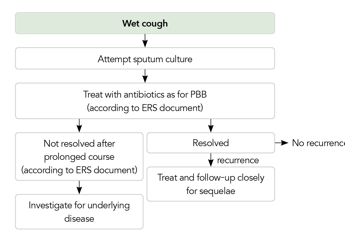 [가이드라인] 만성기침(Chronic cough) - Metamedic