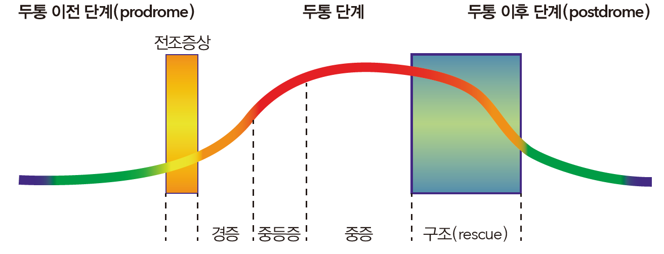 [실전진료] 편두통(Migraine) - Metamedic