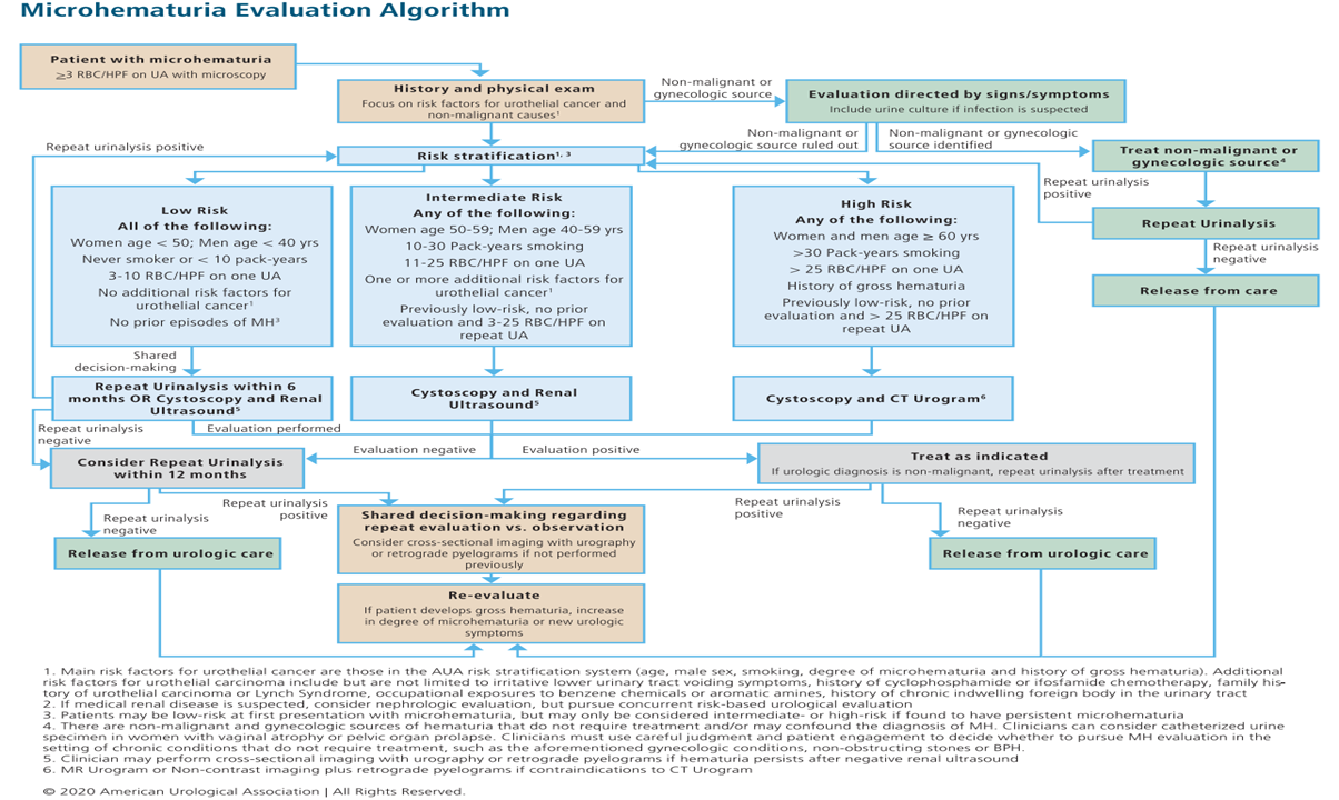 혈뇨(Hematuria): 2020년 AUA/SUFU 가이드라인 - Metamedic