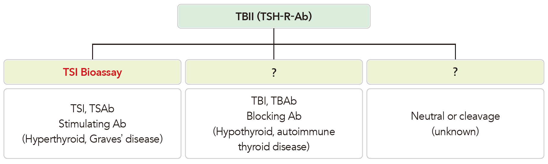 [실전진료] 갑상샘기능검사(Thyroid function test) - Metamedic