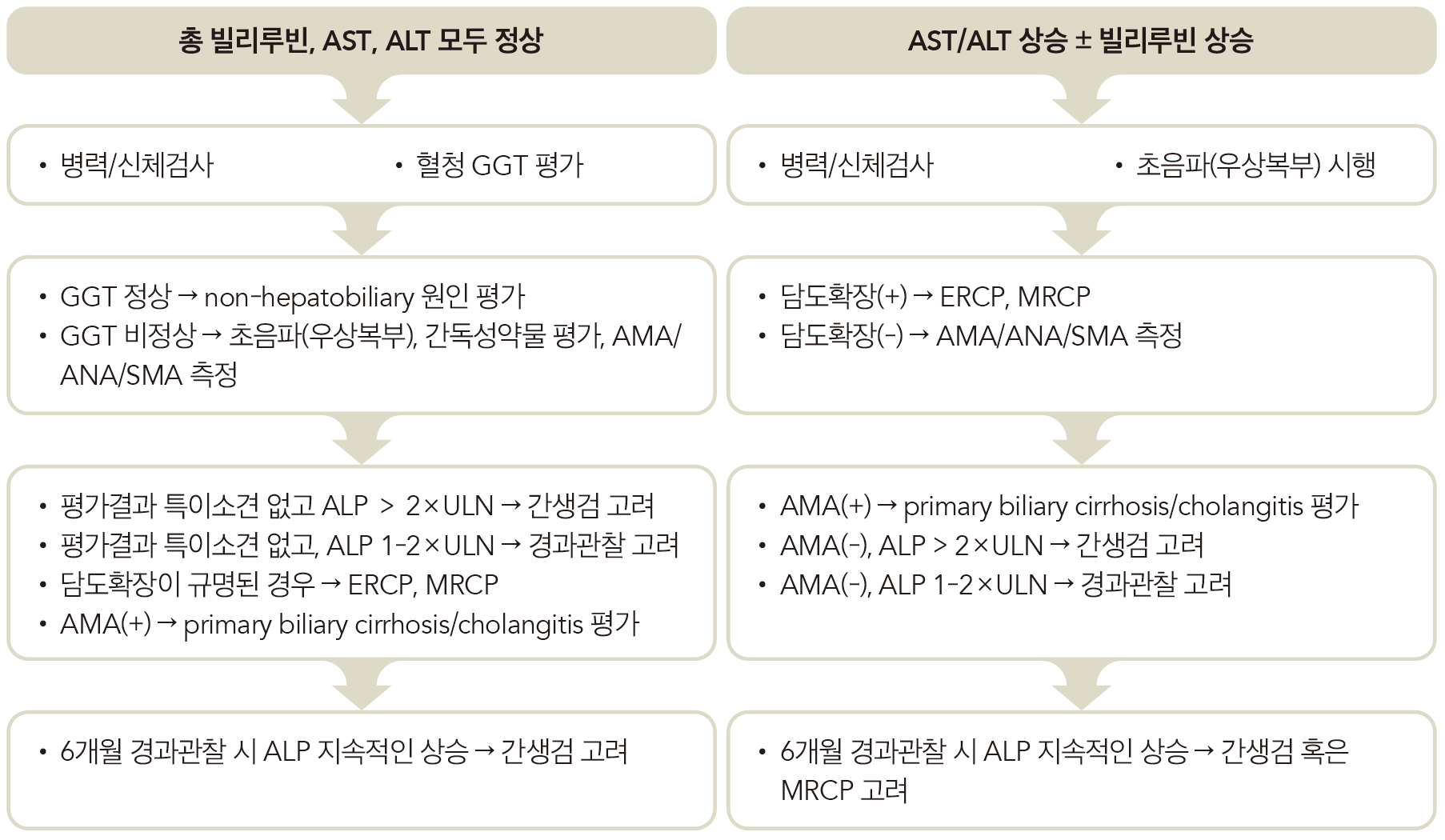 [실전증례(2)] 간기능검사(Liver function test)의 해석: ALP, GGT - Metamedic