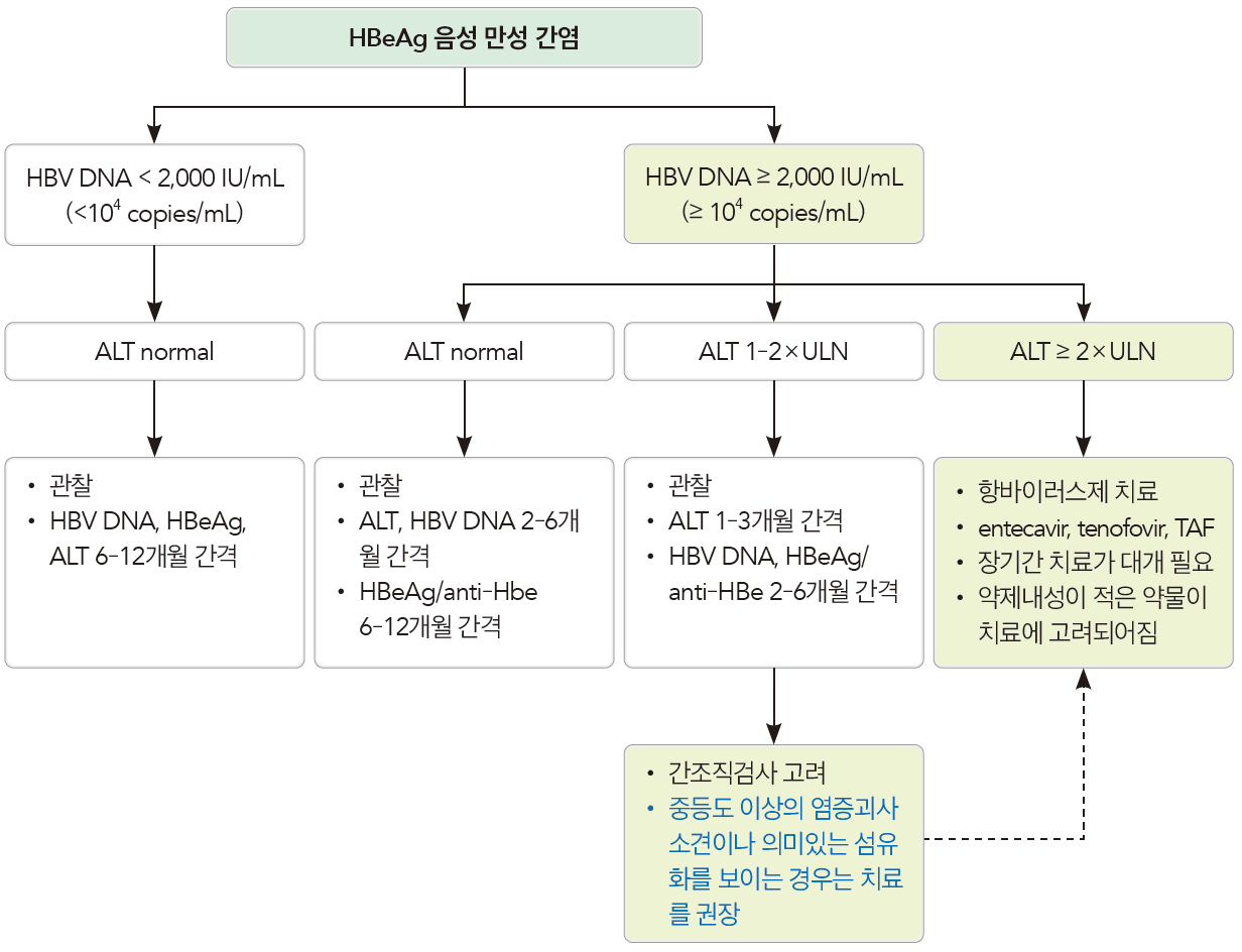 [실전증례] 만성 B형간염(Chronic hepatitis B) - Metamedic