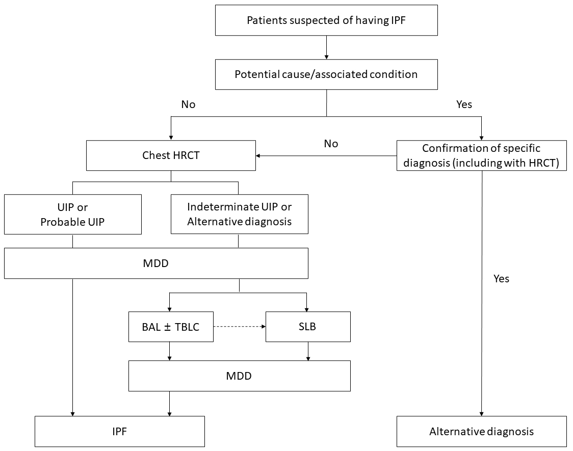 특발 폐섬유화증(Idiopathic pulmonary fibrosis, IPF) - Metamedic